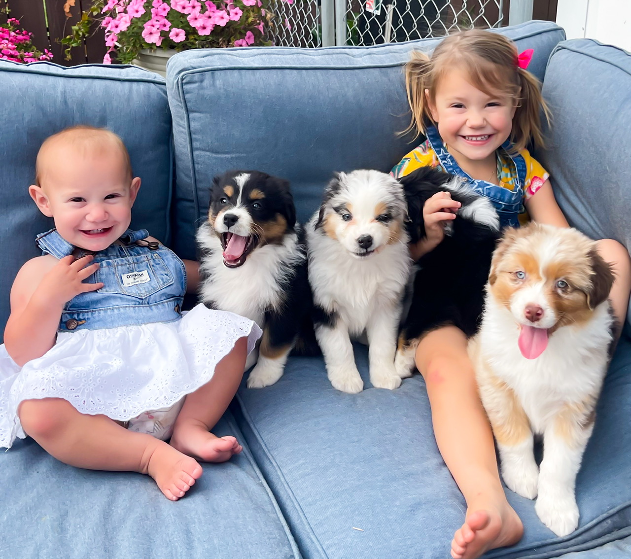#NextGeneration Spotlight – Lily and Grace Phillips | Canine Chronicle
