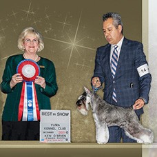 CC Best In Show Club | Canine Chronicle