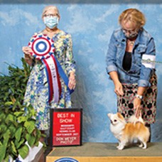 CC Best In Show Club | Canine Chronicle