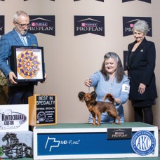 CC Best In Show Club | Canine Chronicle