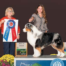CC Best In Show Club | Canine Chronicle