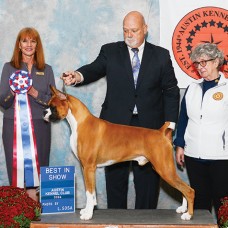 CC Best In Show Club | Canine Chronicle