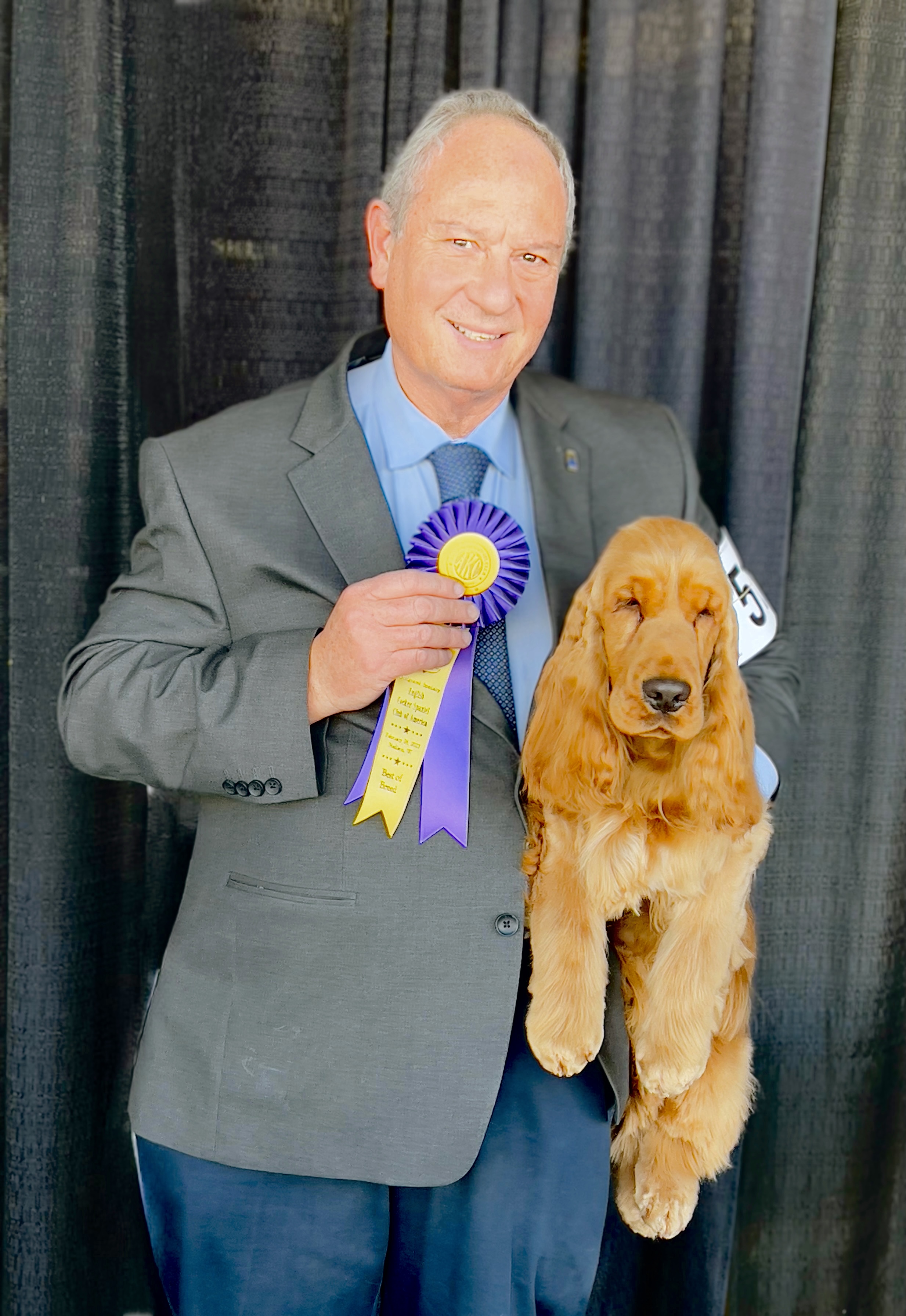 English Cocker Spaniel Club of America Regional – Sunday, February 26 ...