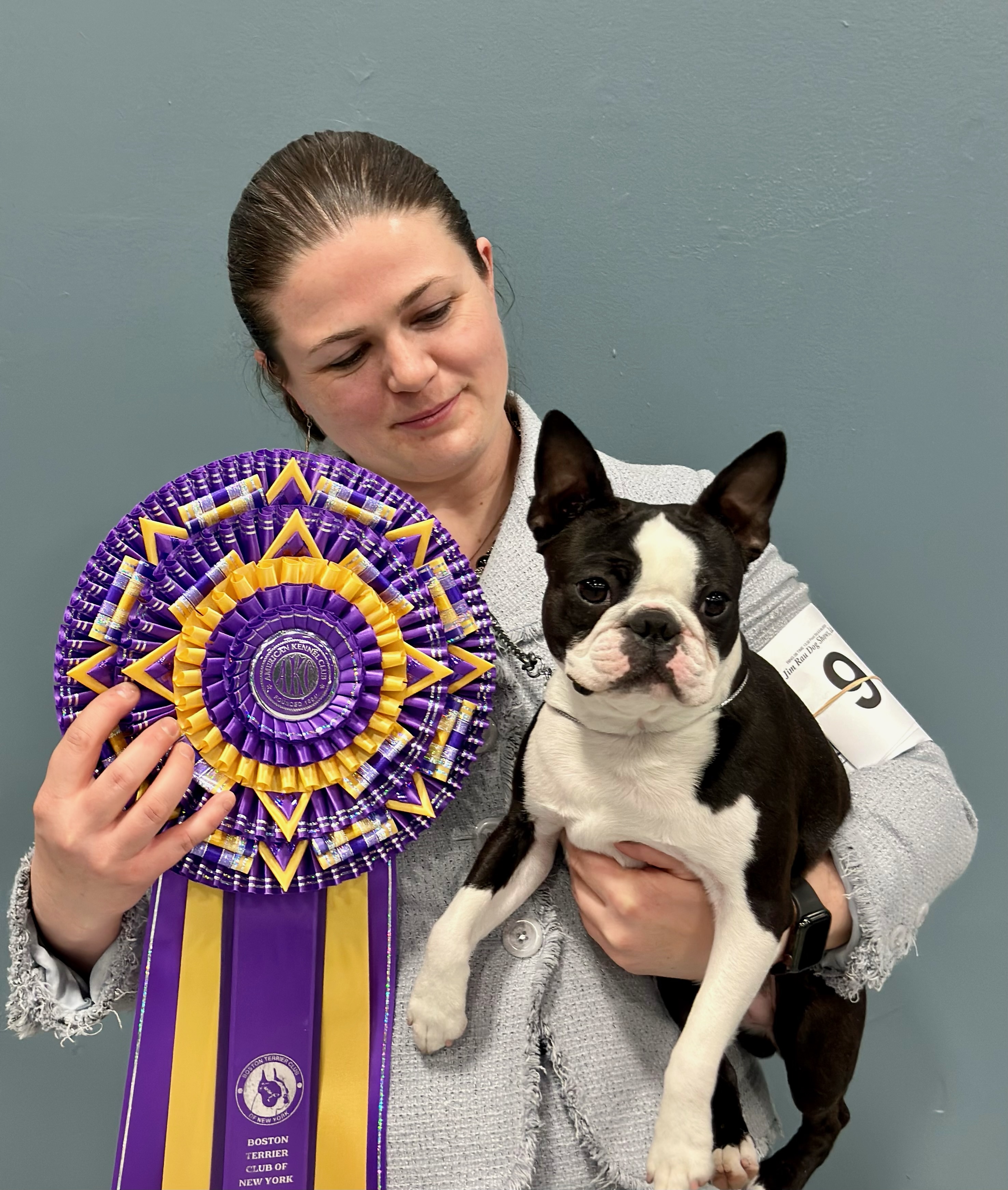 Boston Terrier Club of New York – Saturday & Sunday, March 25-26, 2023 ...