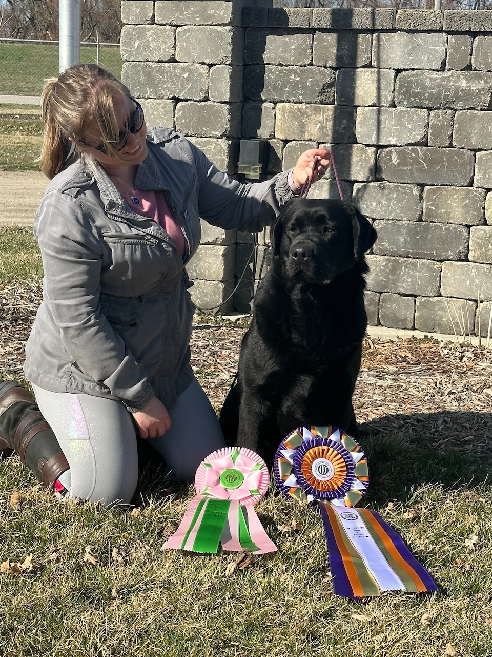 Midwest Labrador Retriever Club of Iowa – Saturday, April 1, 2023 ...