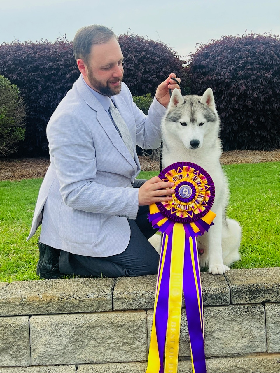 Siberian Husky Club of Greater Atlanta – Saturday, April 15, 2023 ...