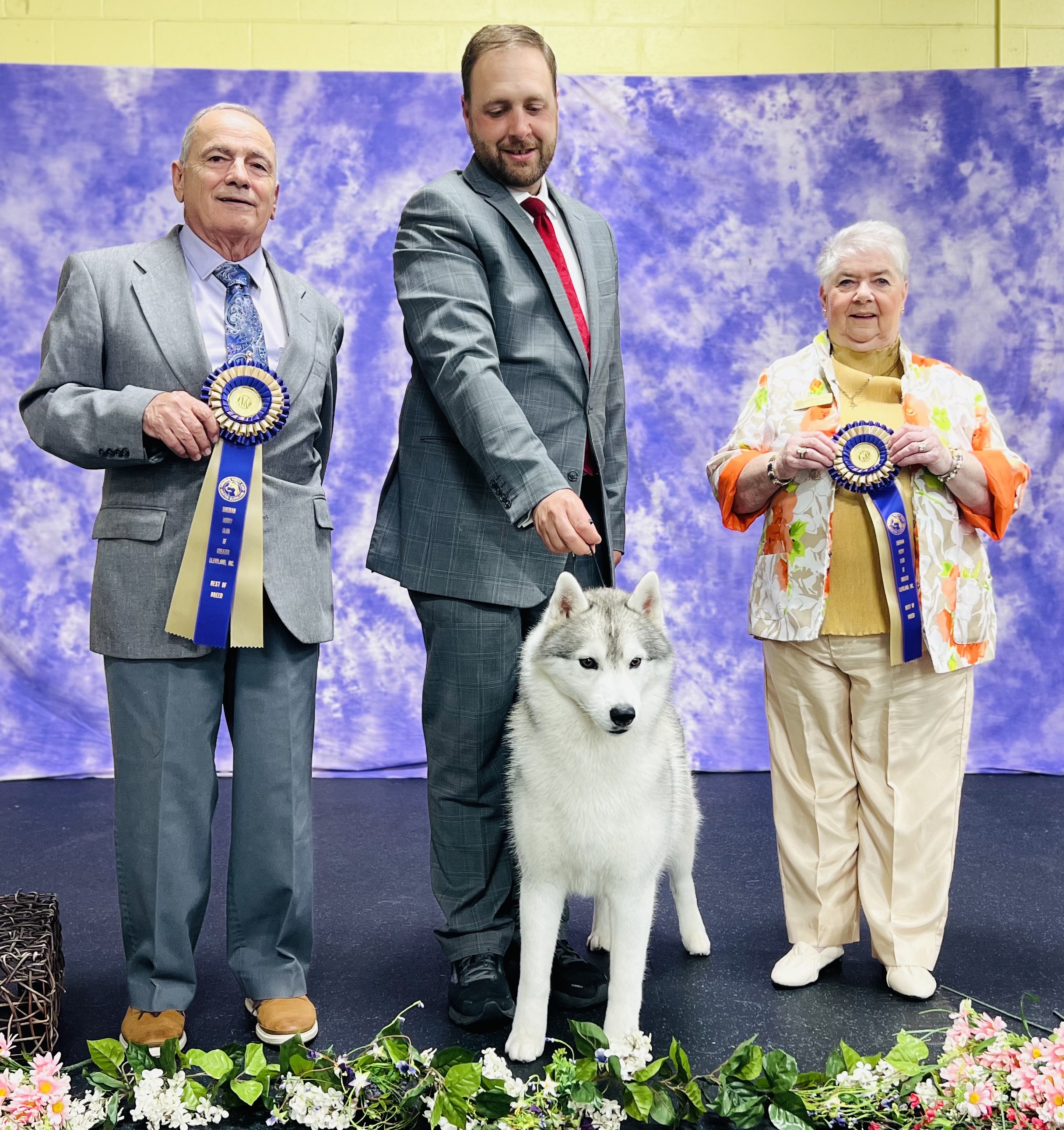 Siberian Husky Club of Greater Cleveland #1 & #2 – Saturday, April 22 ...