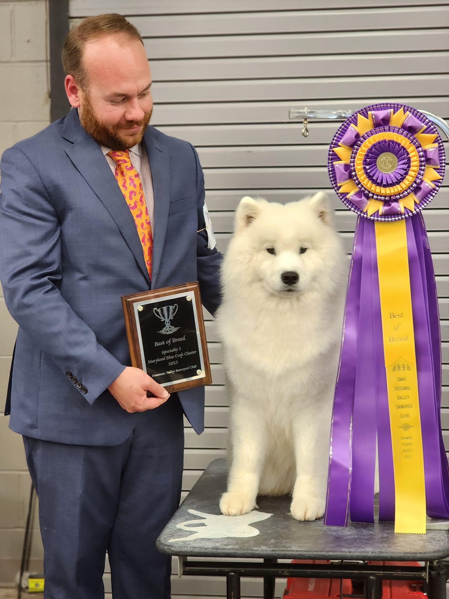 Potomac Valley Samoyed Club – Saturday, April 1, 2023 | Canine Chronicle