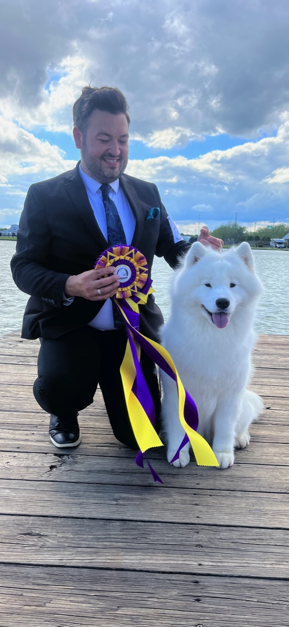 Metropolitan Atlanta Samoyed Club – Friday, April 14, 2023 | Canine ...