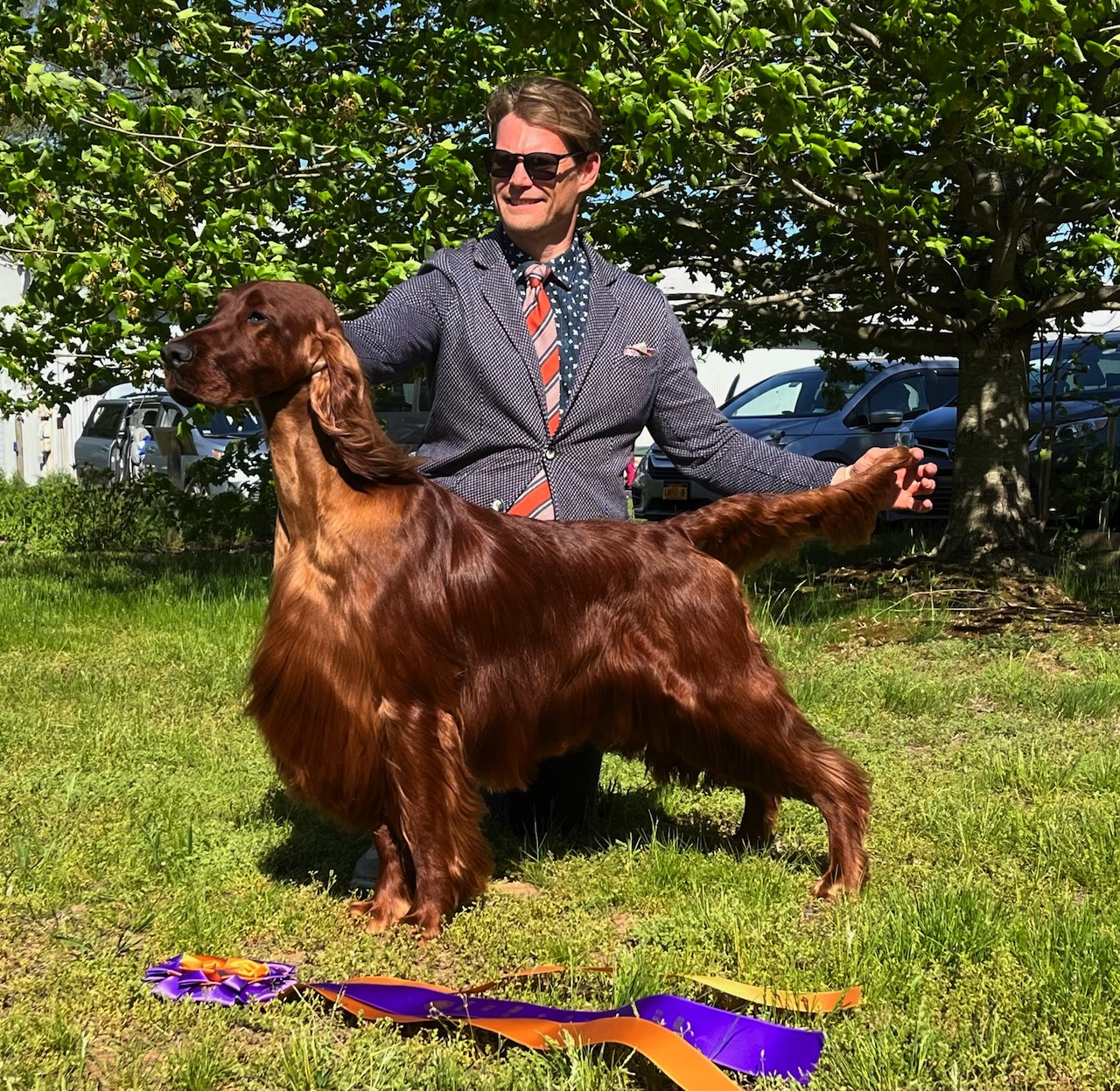 Irish Setter Club of New England – Sunday, May 14, 2023 | Canine Chronicle