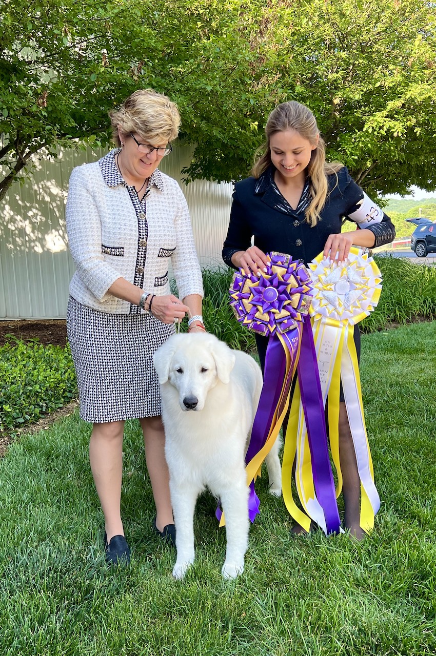 Kuvasz Club of America National – Thursday, June 1, 2023 | Canine Chronicle