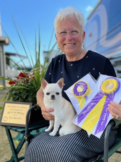 Chihuahua Club of Greater Milwaukee #2 – Friday, July 28, 2023 | Canine ...