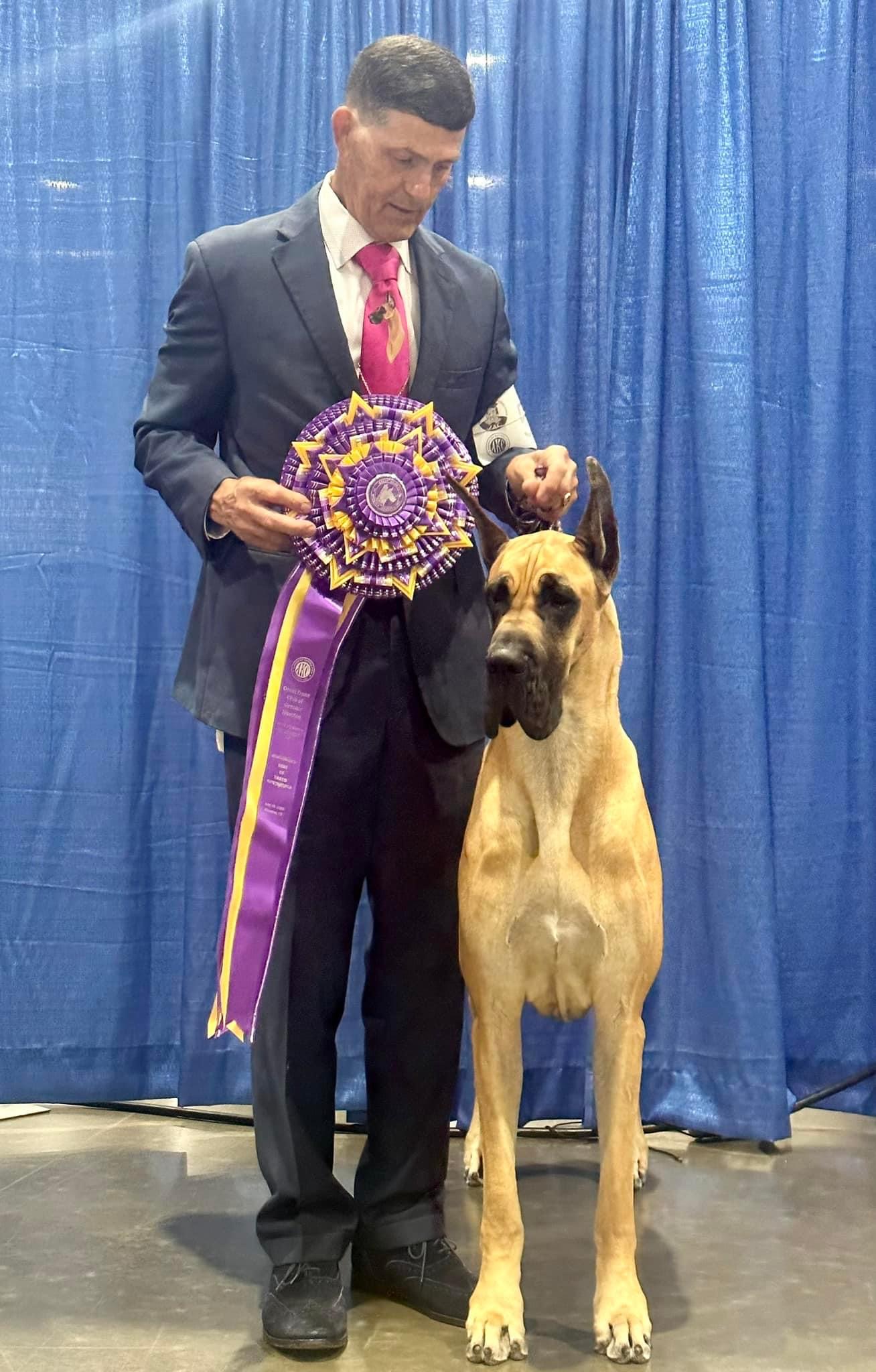 Great Dane Club of Greater Houston – Wednesday, July 19, 2023 | Canine ...