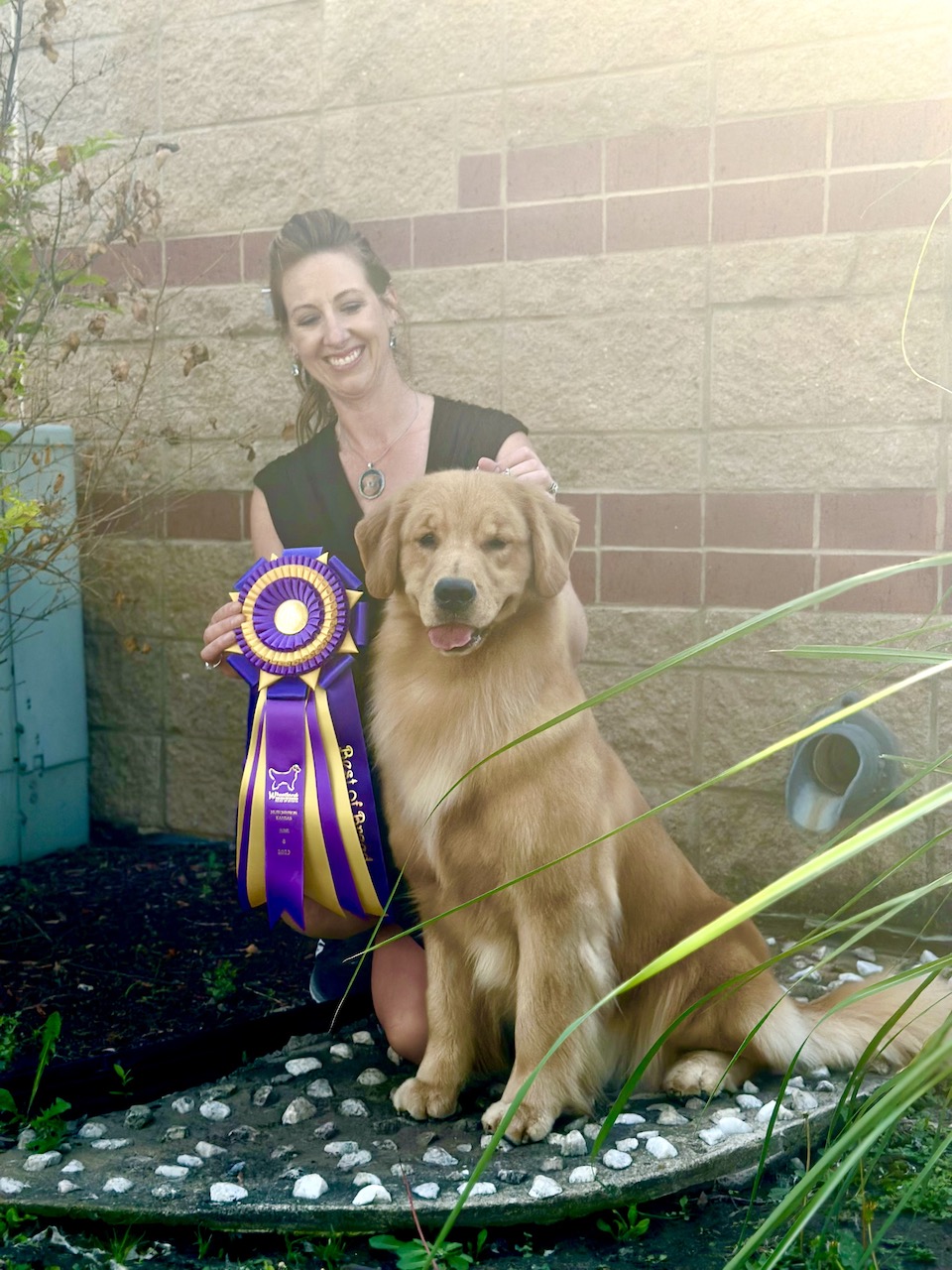 Greater Houston Golden Retriever Club #2 – Wednesday, July 19, 2023 ...