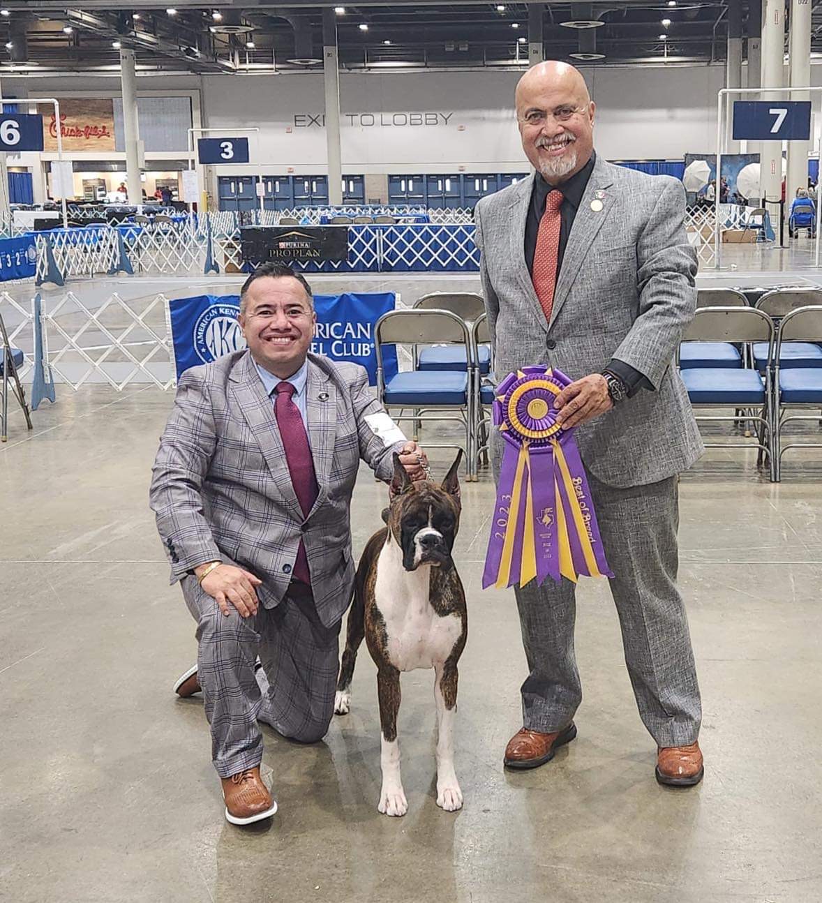 Houston Boxer Club – Wednesday, July 19, 2023 | Canine Chronicle