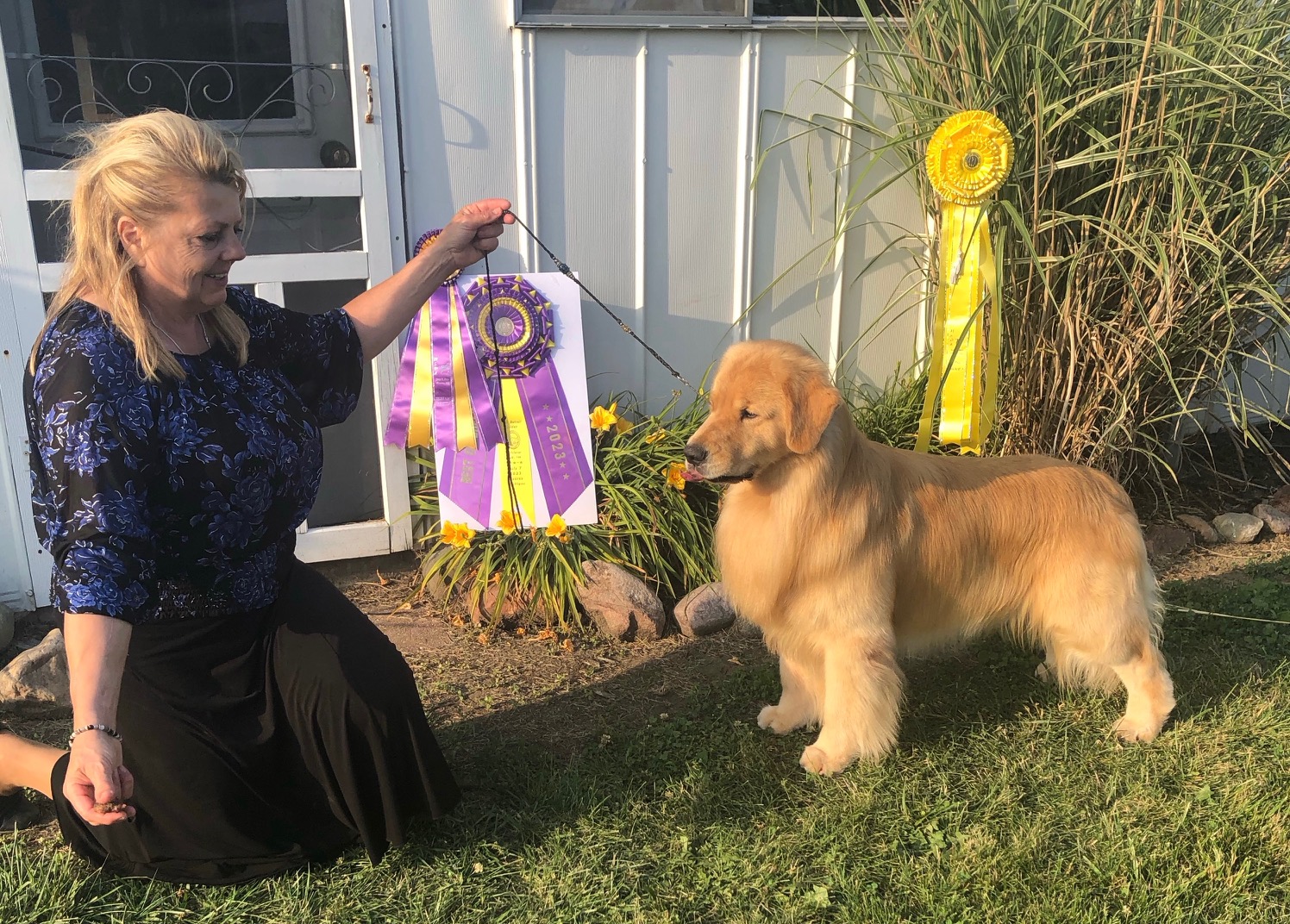 Fort Detroit Golden Retriever Club – Friday & Saturday July 7-8, 2023 ...