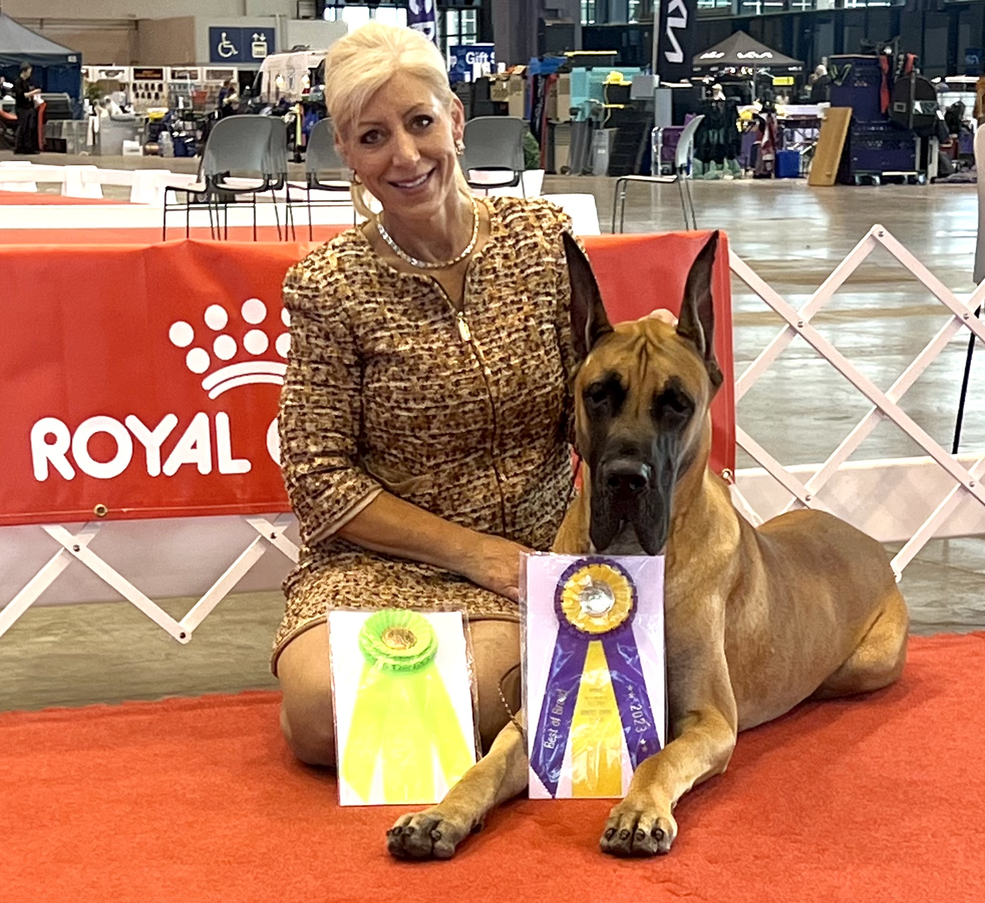 Illini Great Dane Club – Sunday, August 27, 2023 | Canine Chronicle