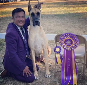 Great Dane Club of Western Washington – Wednesday & Thursday, August 16 ...