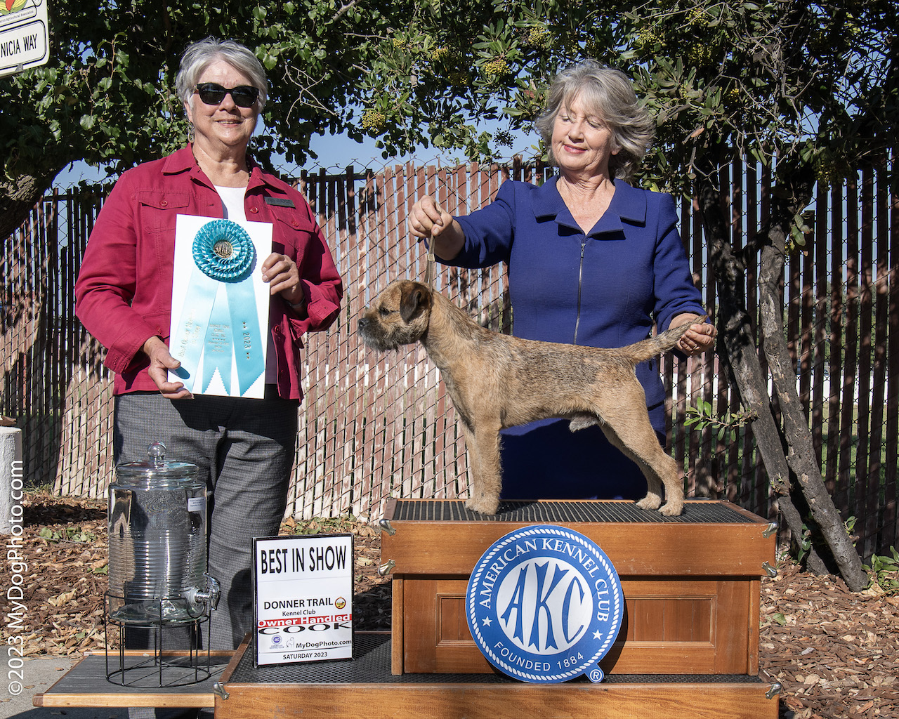 Donner Trail Kennel Club NOHS – Saturday, September 23, 2023 | Canine ...