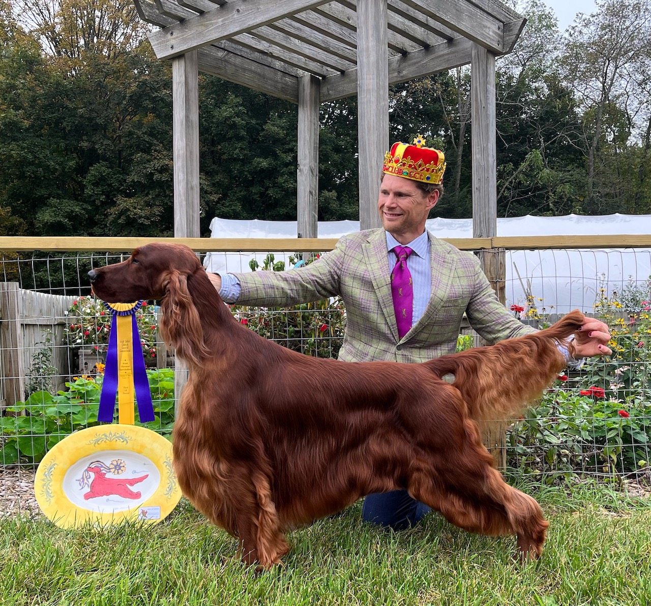 Irish Setter Club of Central Connecticut – Friday October 6, 2023 ...