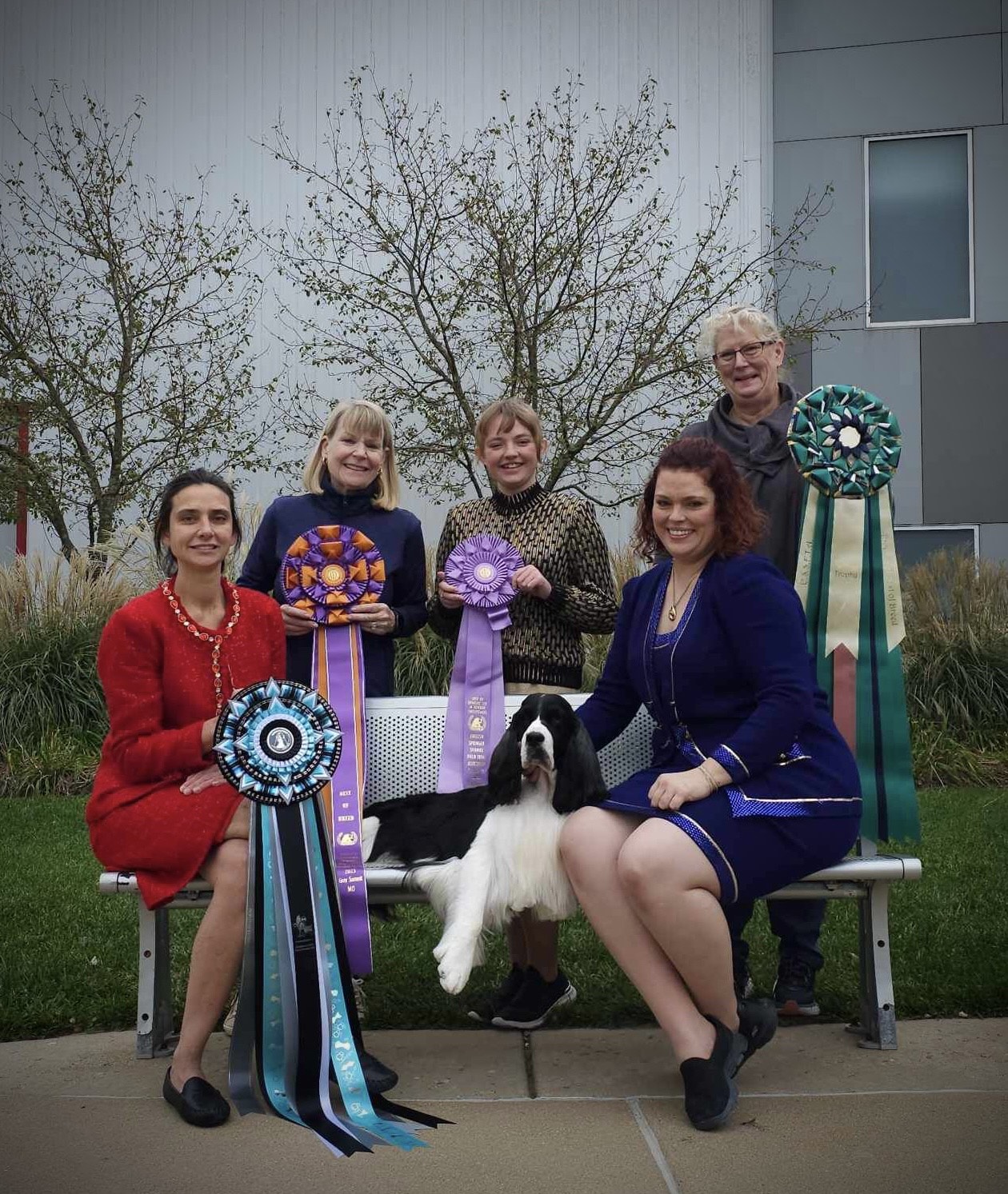 English Springer Spaniel Field Trial Association National – Saturday ...