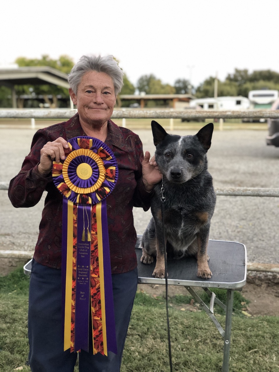 Australian Cattle Dog Club of America Regional – Friday, October 27 ...