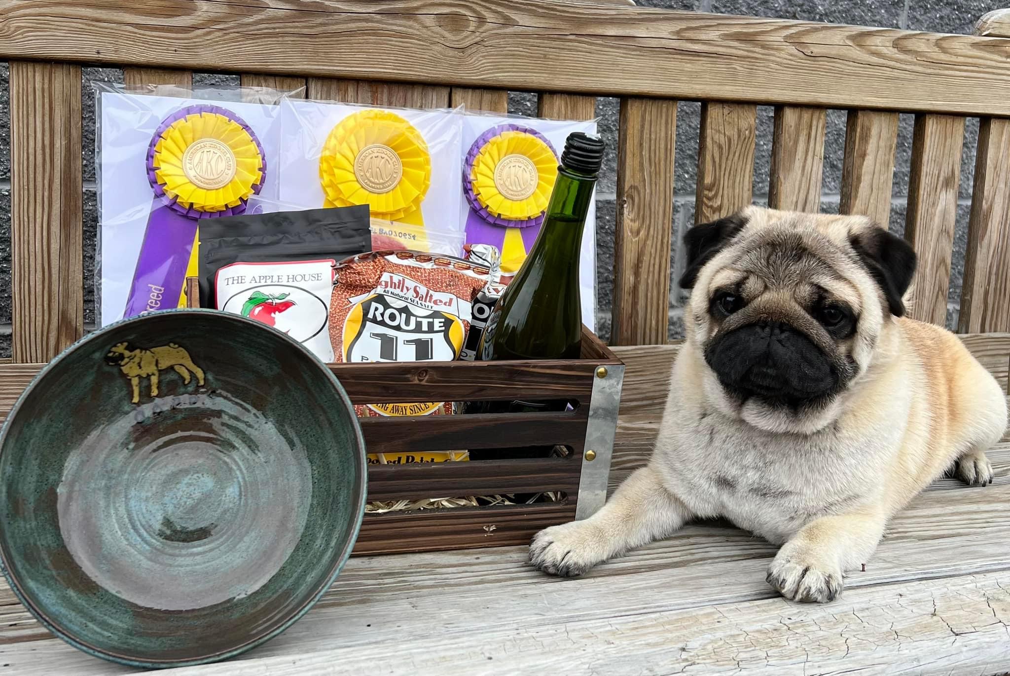 Old Dominion Pug Club, Inc. – Saturday & Sunday, November 4-5, 2023 ...