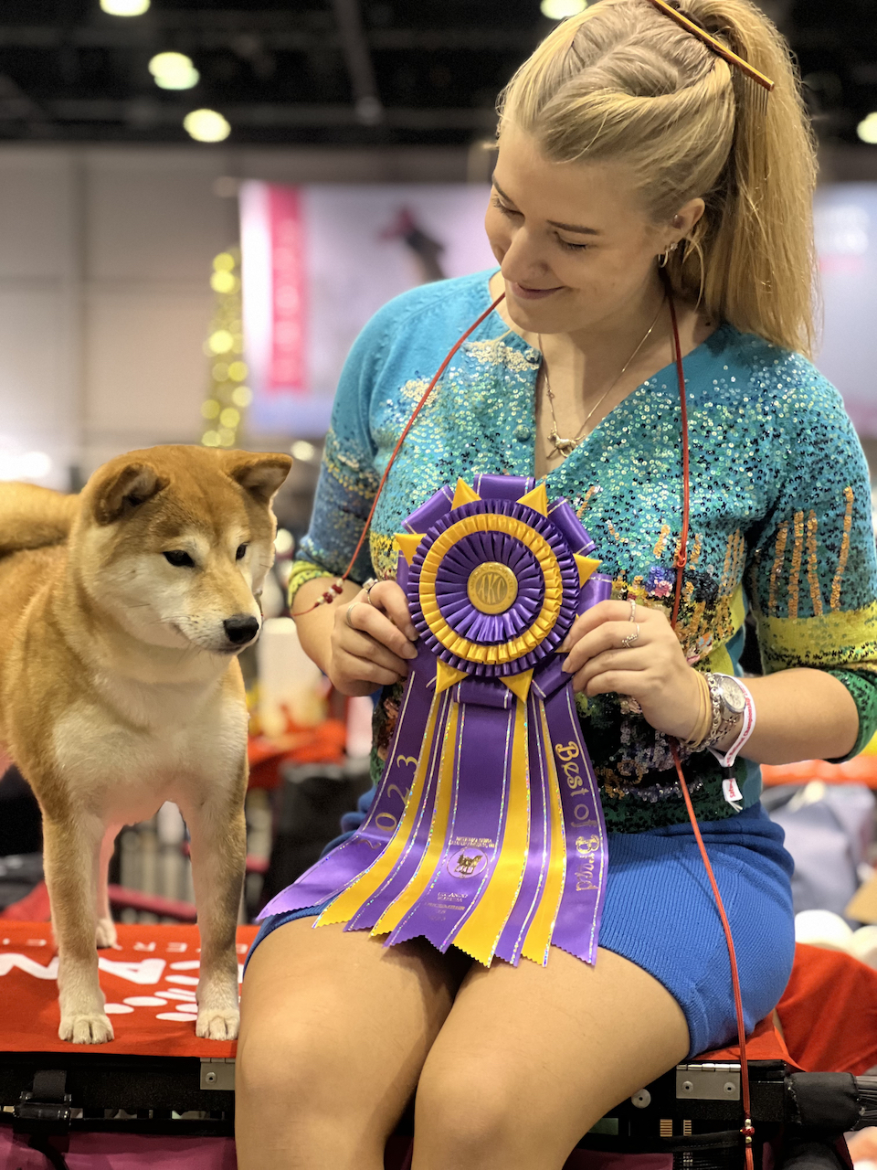 National Shiba Club of America – Friday, December 15, 2023 | Canine ...