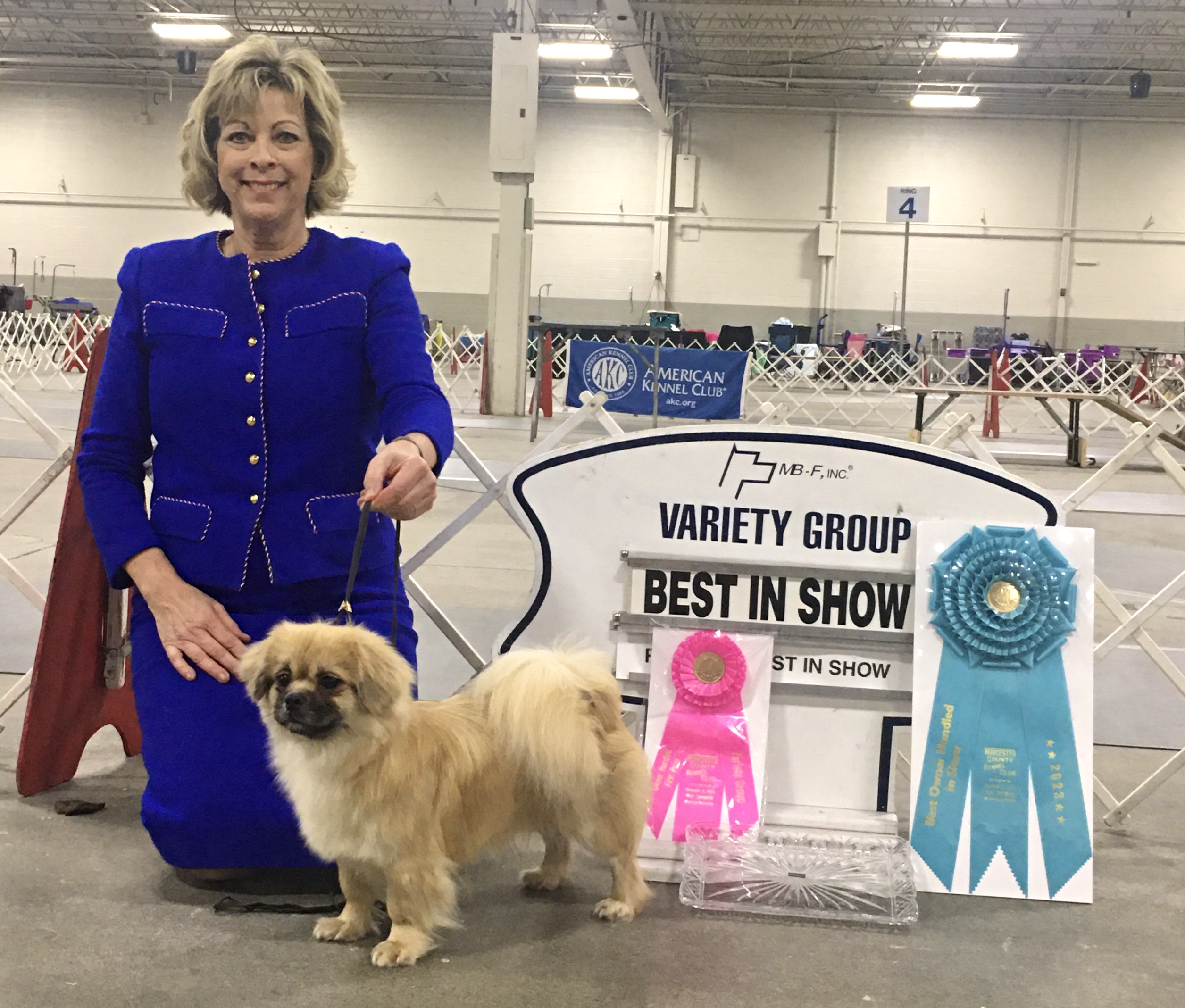 Worcester County KC NOHS – Saturday, December 2, 2023 | Canine Chronicle