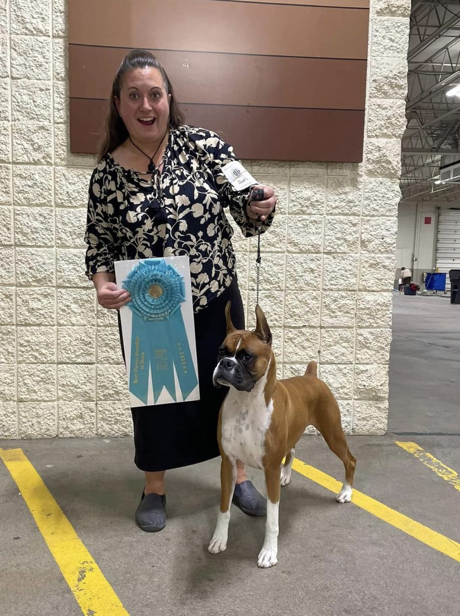 Worcester County Kennel Club NOHS – Sunday, December 3, 2023 | Canine ...