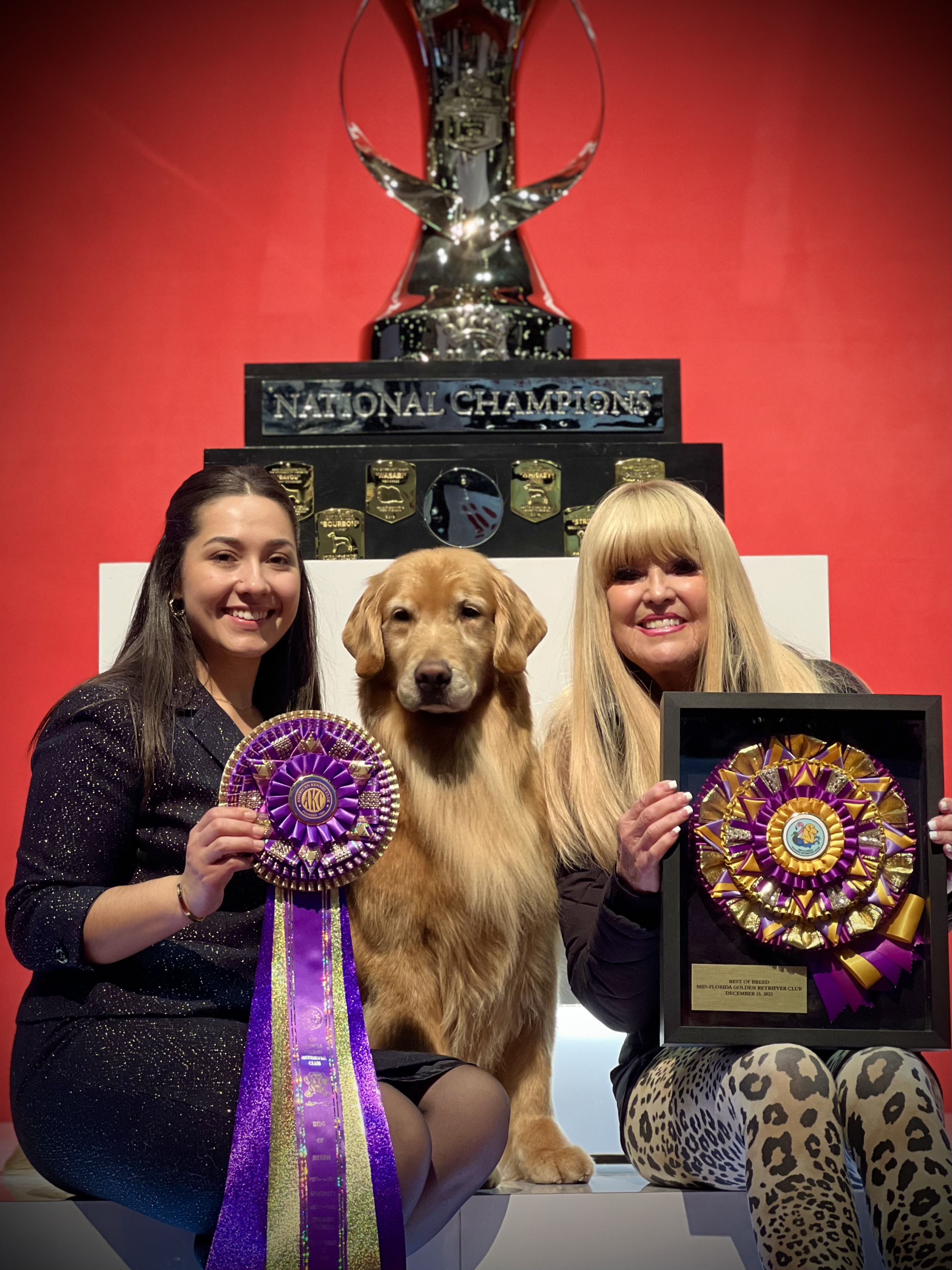 Mid Florida Golden Retriever Club – Friday, December 15, 2023 | Canine ...