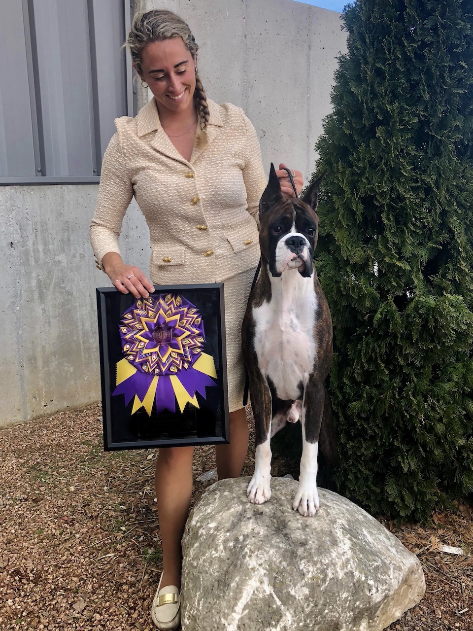 Tree Towns Boxer Club – Thursday, February 22, 2024 | Canine Chronicle