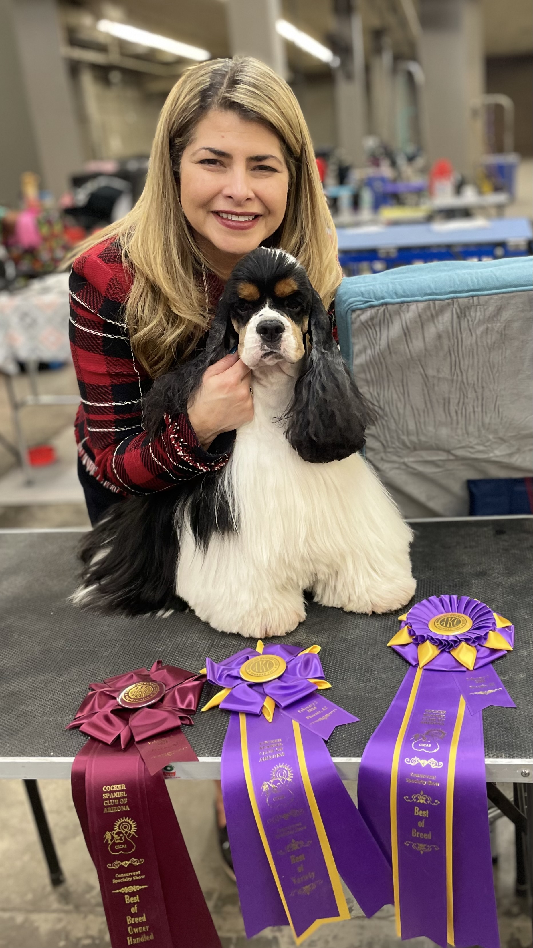 Cocker Spaniel Club of Arizona – Saturday, February 3, 2024 | Canine ...