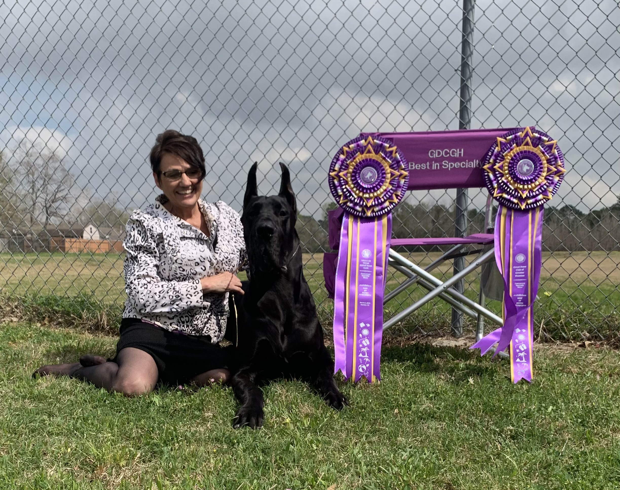 Heart of Texas Great Dane Club & Great Dane Club of Greater Houston ...