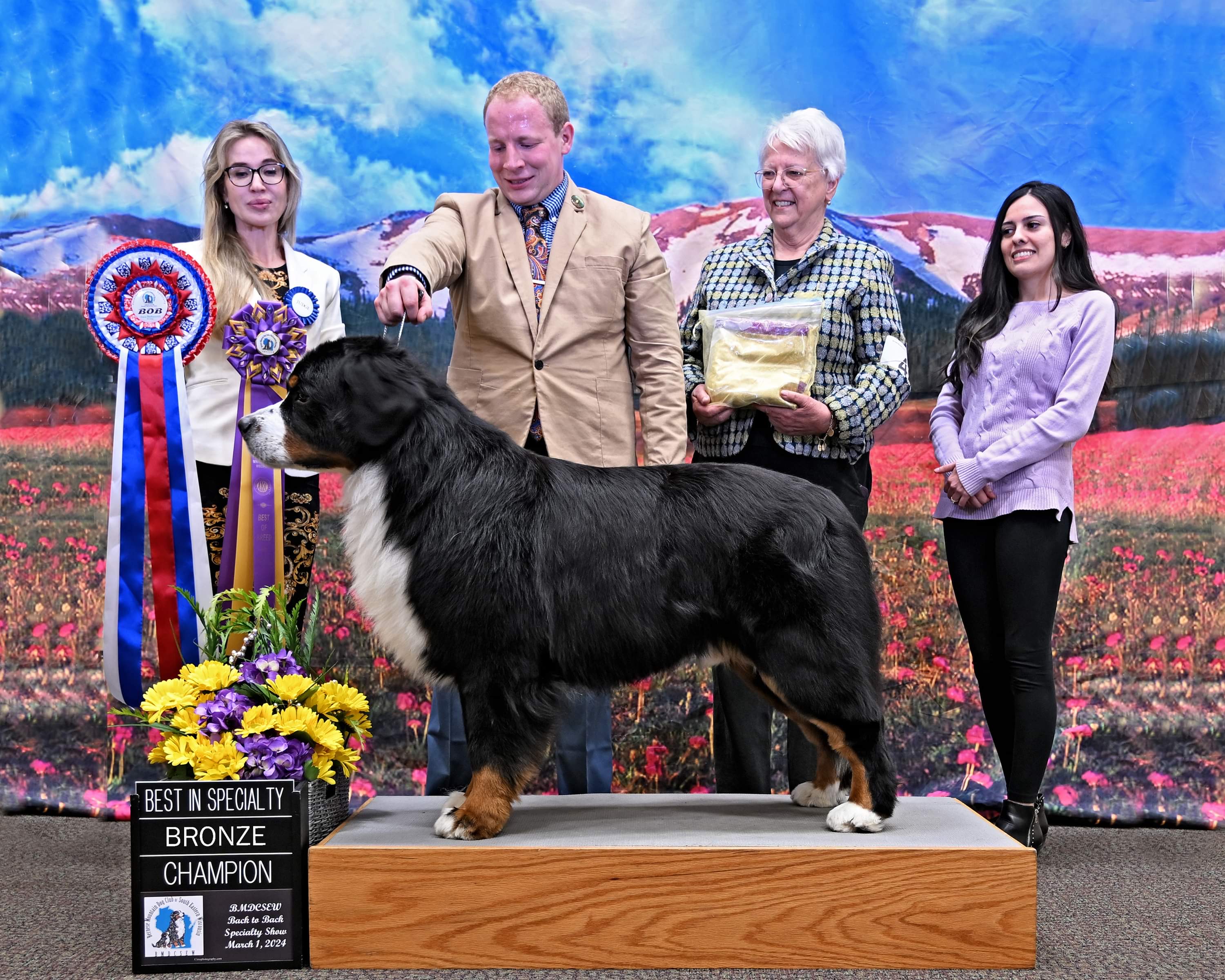 Bernese Mountain Dog Club of Southeastern Wisconsin – Friday, March 1 ...