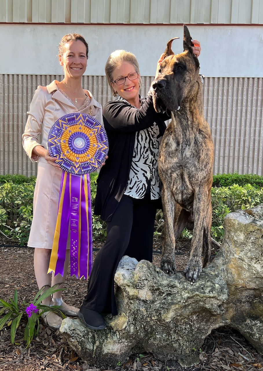 Great Dane Club of Southeast Florida – Sunday, March 24, 2024 | Canine ...