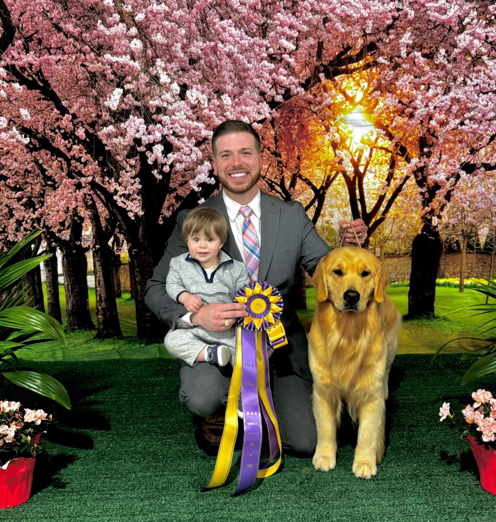 Potomac Valley Golden Retriever Club & Chesapeake Golden Retriever Club ...