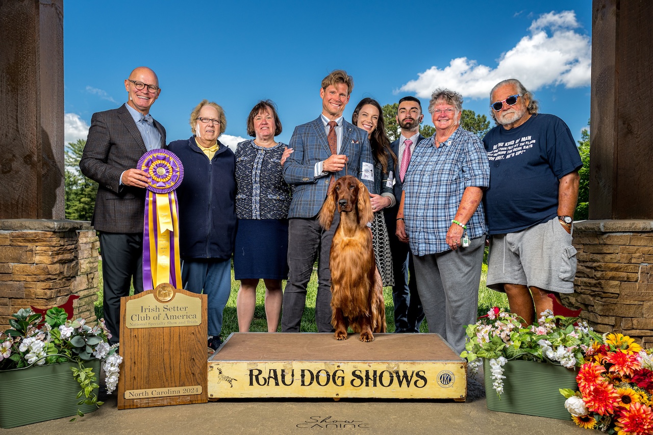 Irish Setter Club of America National – Saturday, May 11, 2024 | Canine ...