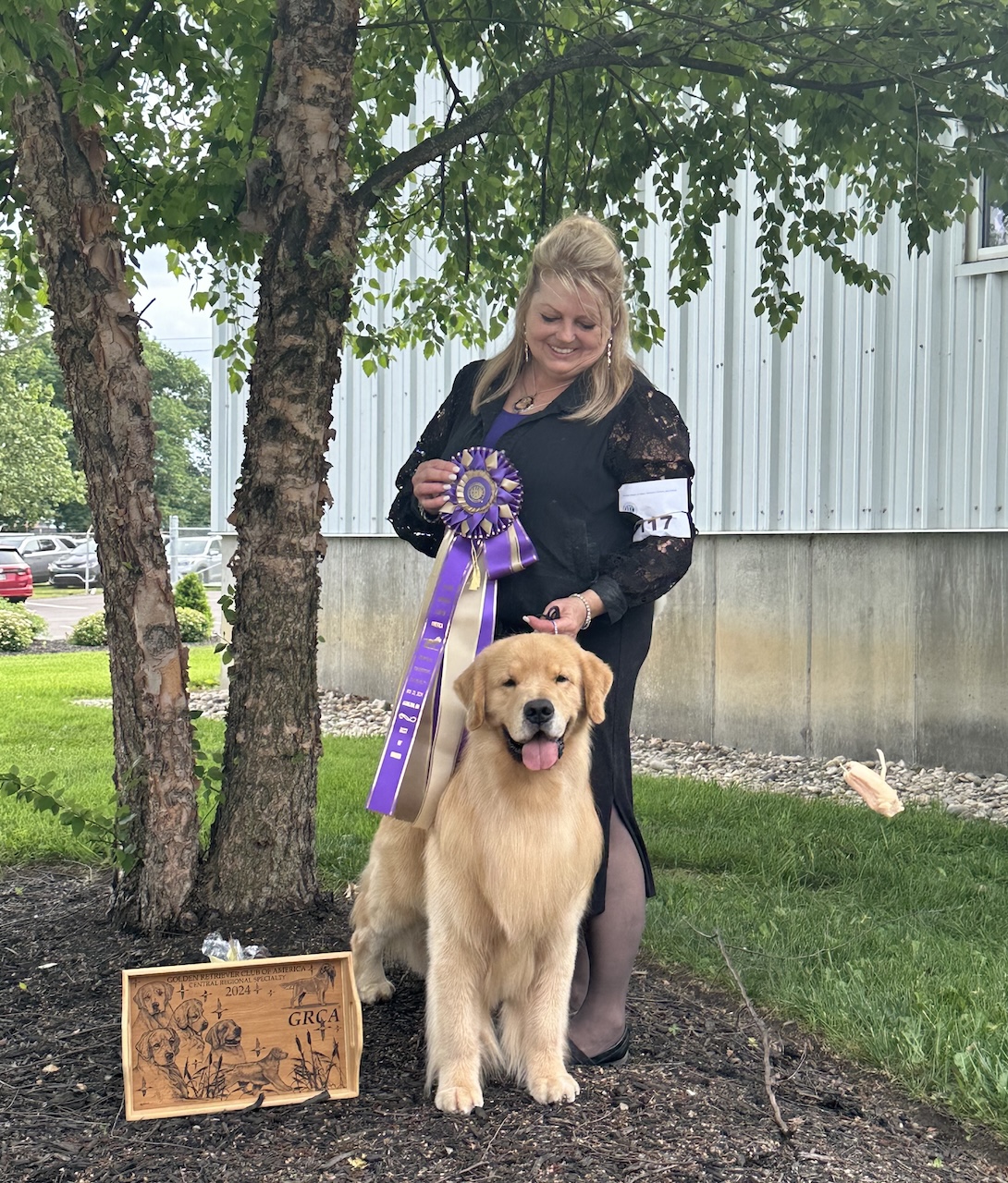 Golden Retriever Club of America Central Regional – Thursday, May 23 ...