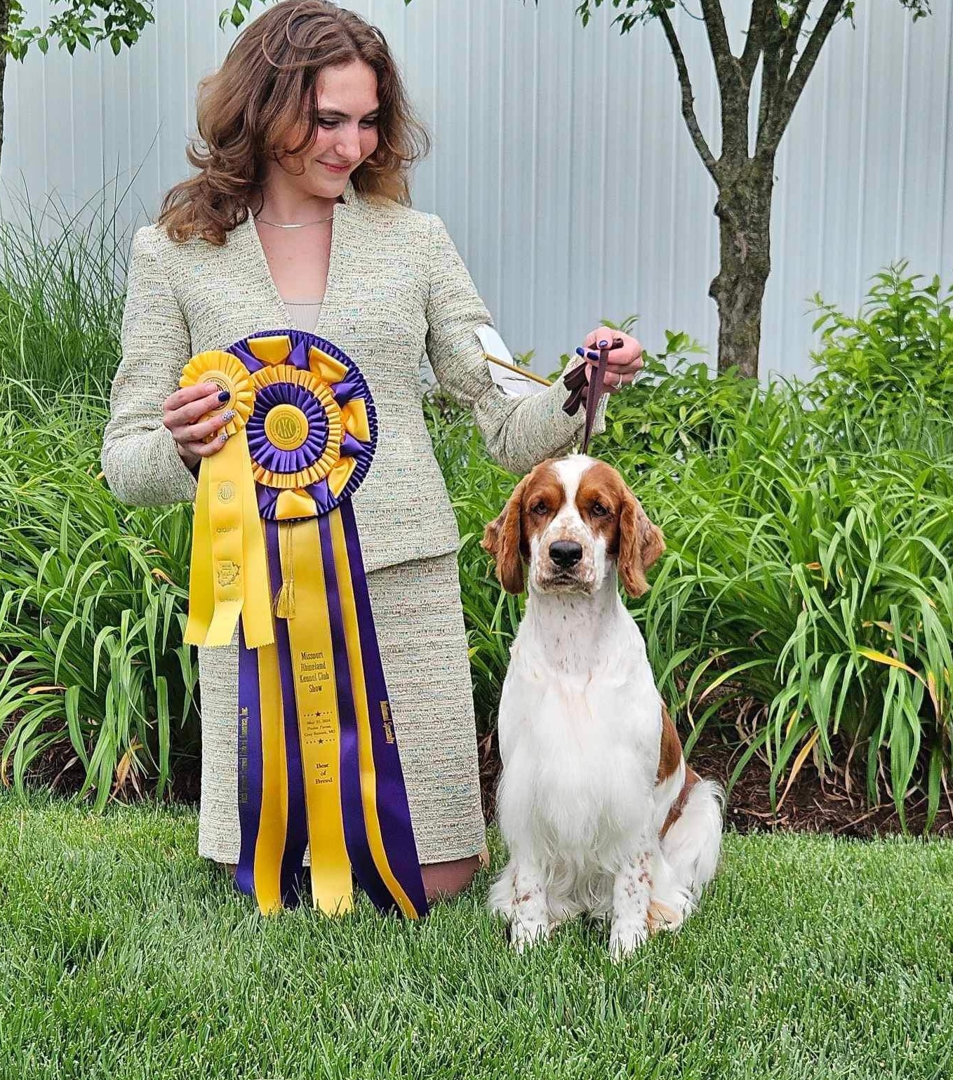 Welsh Springer Spaniel Club Of America National – Friday, May 31, 2024 ...