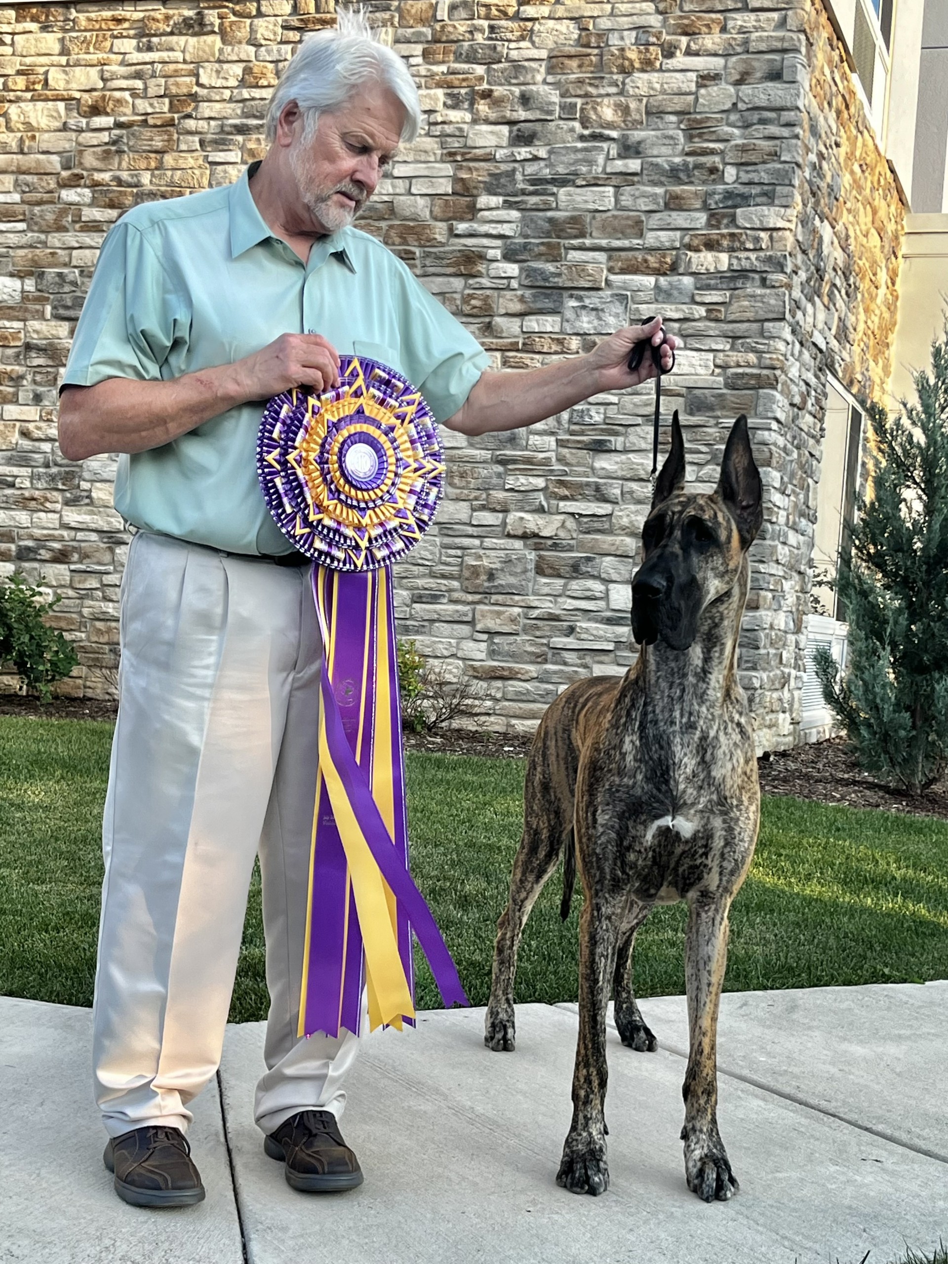 Milwaukee Great Dane Club #1 – Friday, July 26, 2024 | Canine Chronicle
