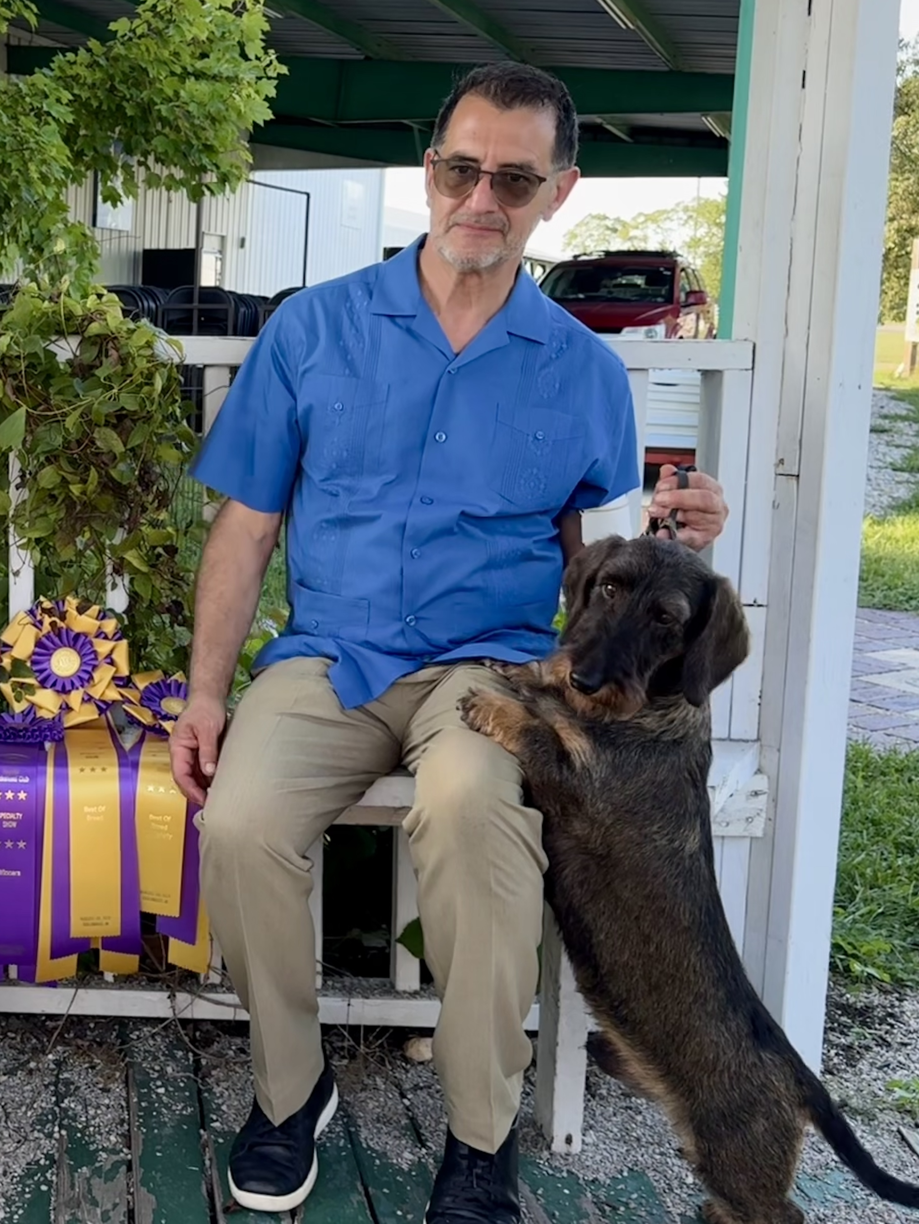 Hoosier Dachshund Club – Saturday, August 10, 2024 | Canine Chronicle