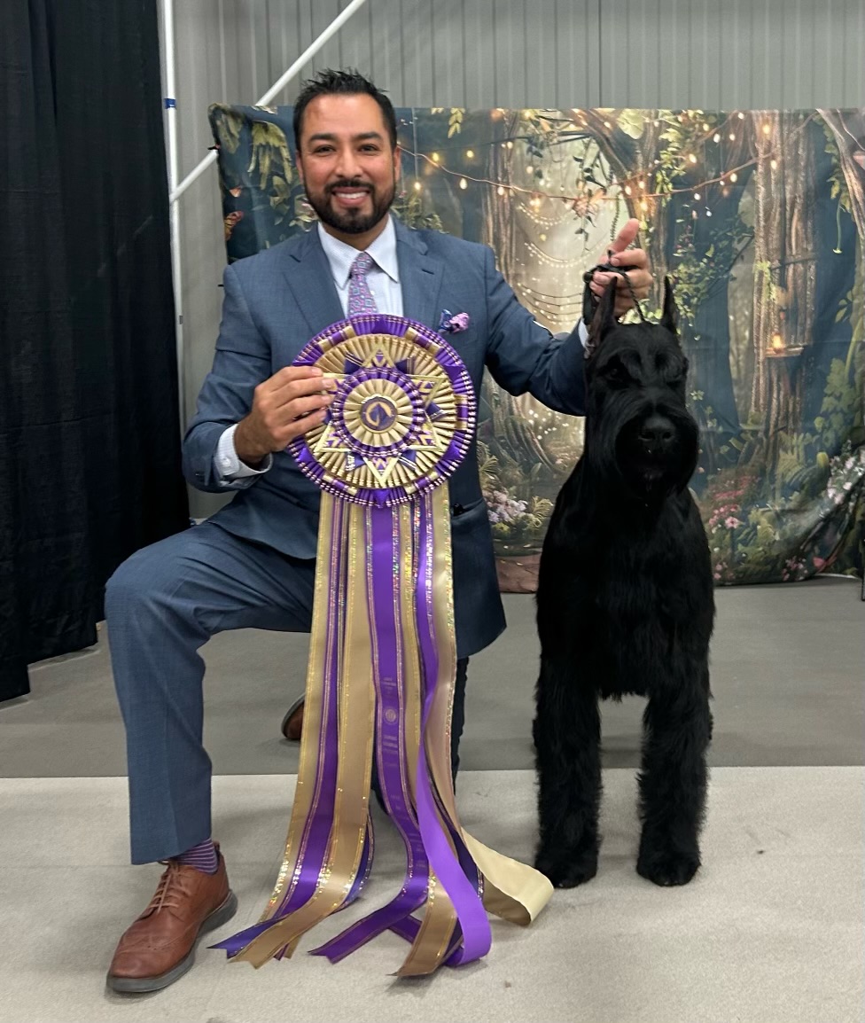 Giant Schnauzer Club Of America Midwest Regional – Saturday, August 24 ...