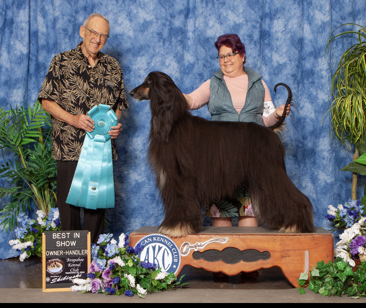 Arapahoe Kennel Club NOHS – Sunday, September 22, 2024 | Canine Chronicle