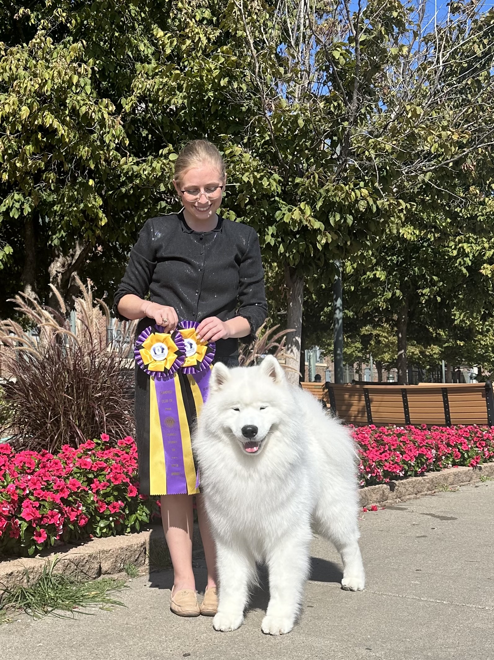 Samoyed Club of Iowa #1 & #2 – Friday, September 6, 2024 | Canine Chronicle
