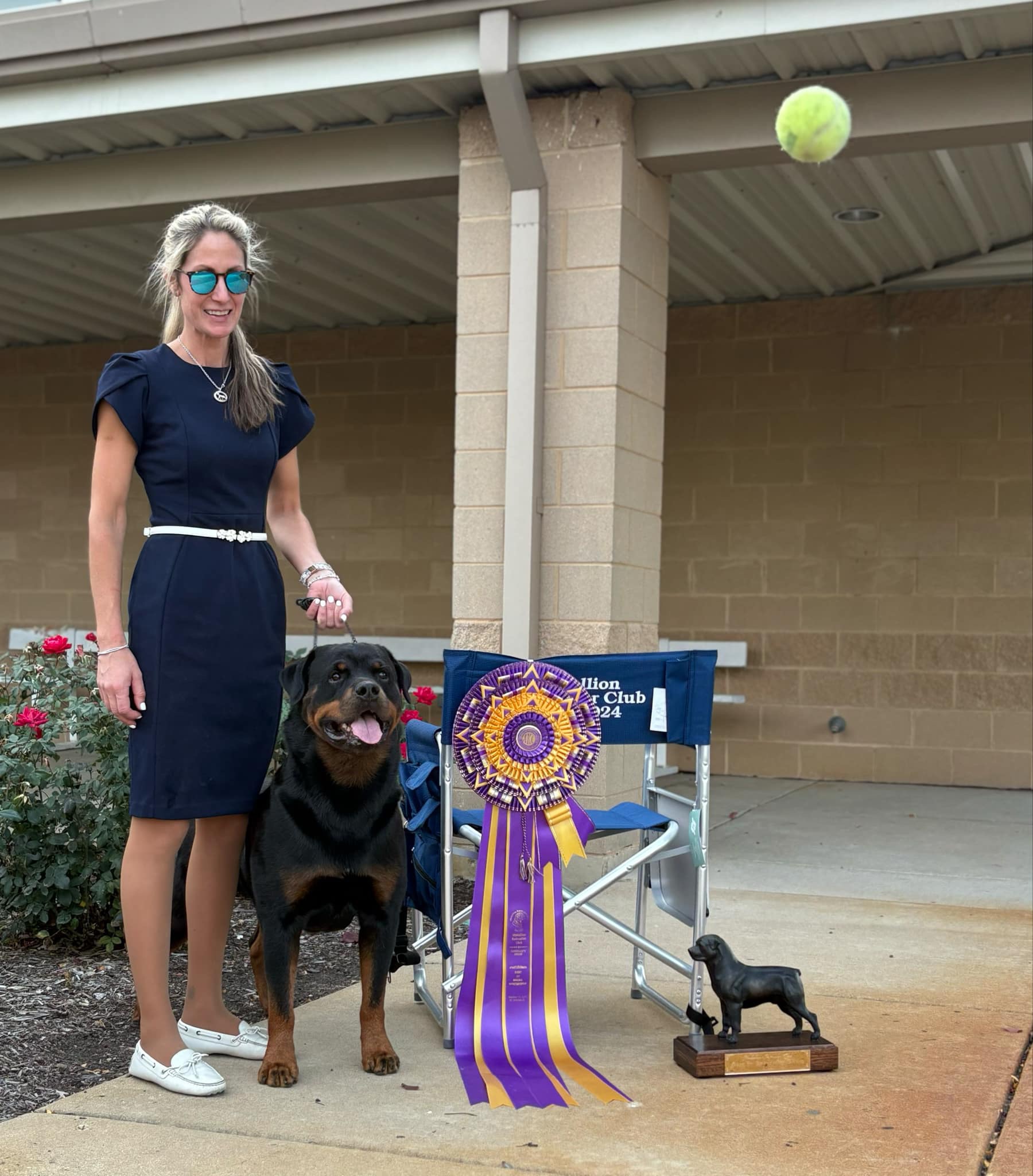 Medallion Rottweiler Club #2 – Friday, October 11, 2024 | Canine Chronicle