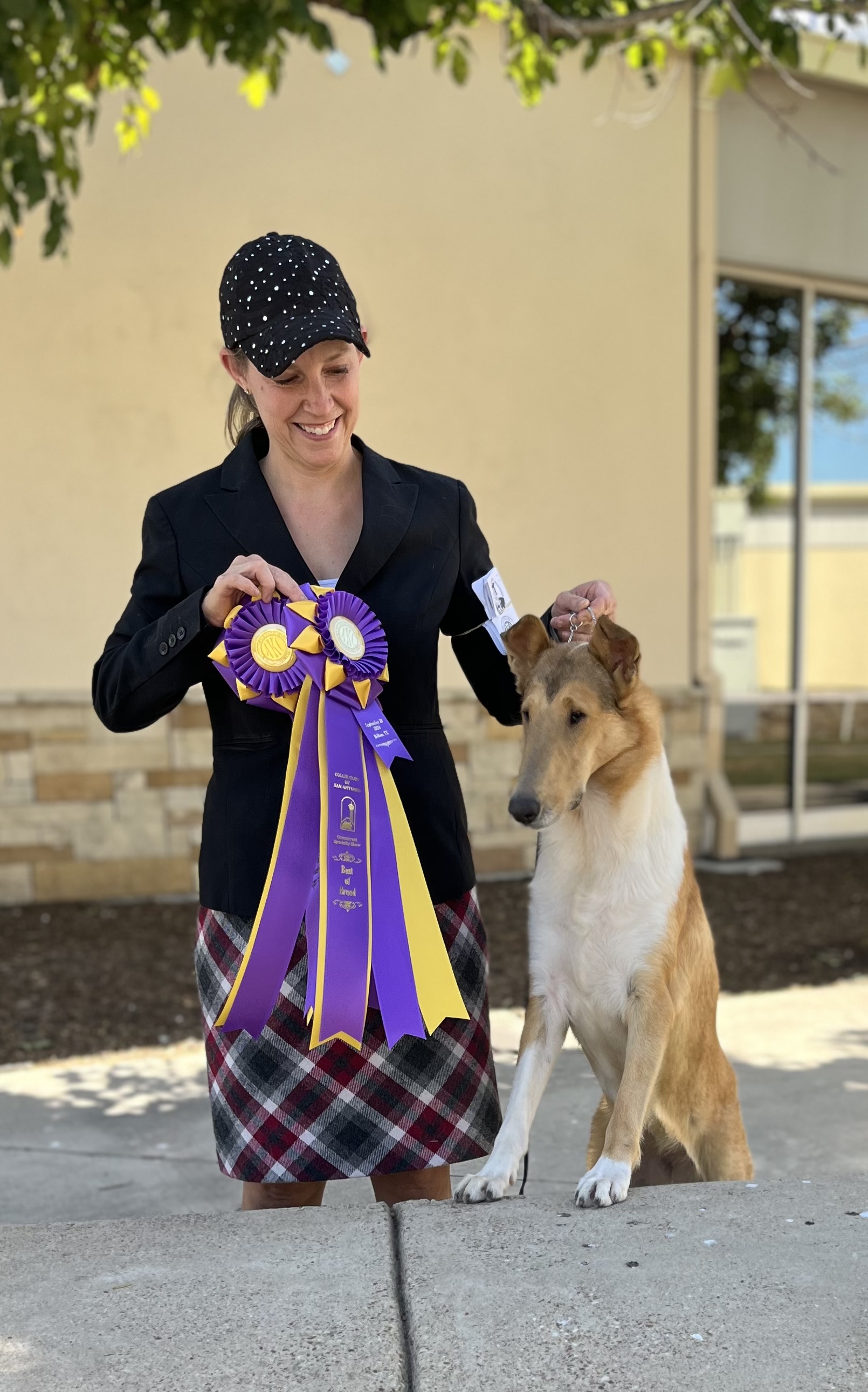 Collie Club of San Antonio – Saturday, September 28, 2024 | Canine ...