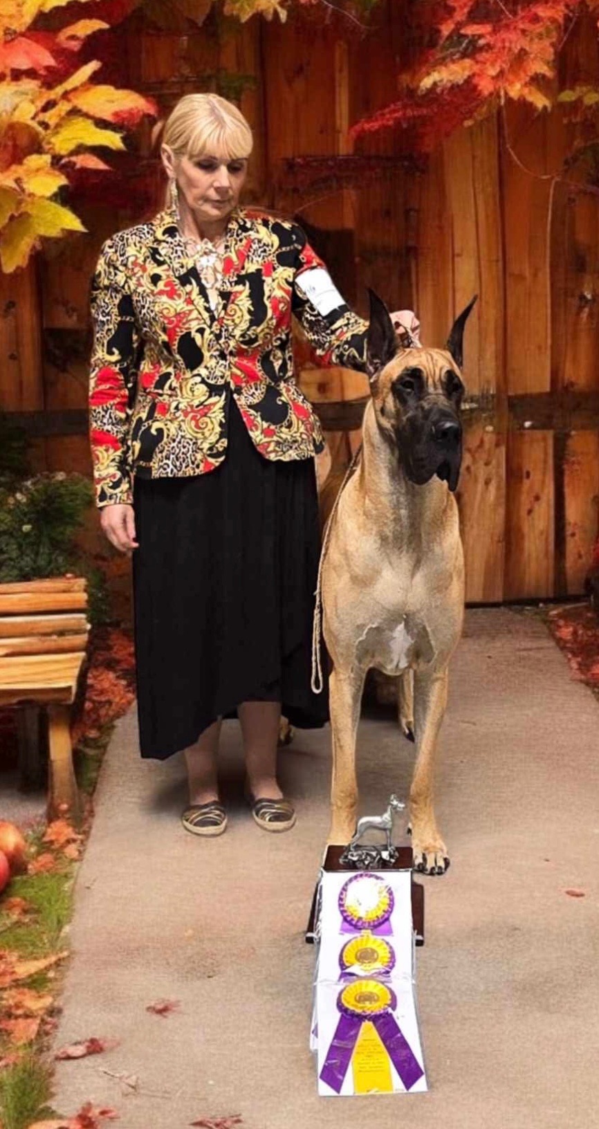 Great Dane Club Of New England – Friday & Saturday, November 22 & 23 ...