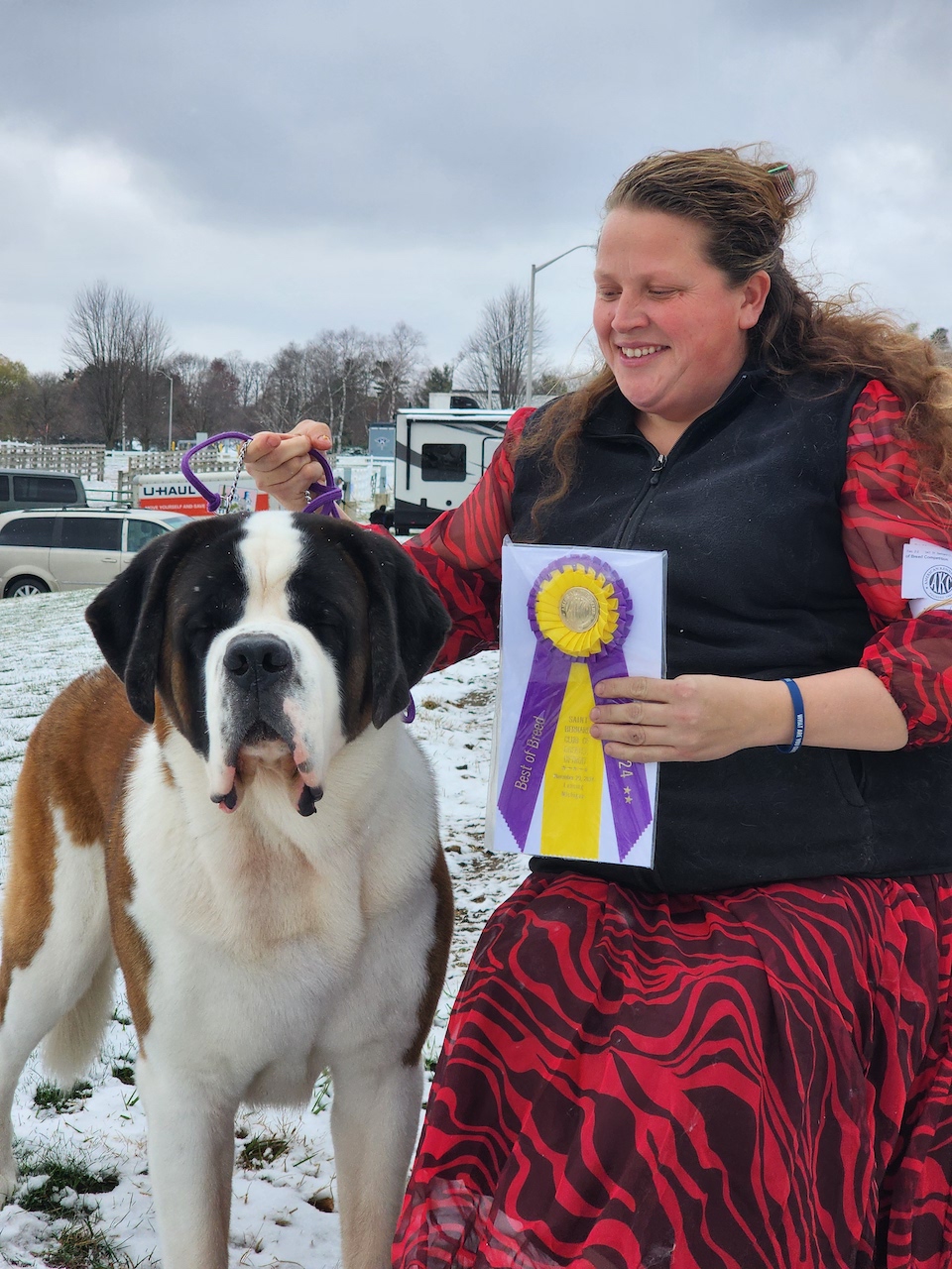 St. Bernard Club of Greater Detroit – Saturday, November 30, 2024 ...