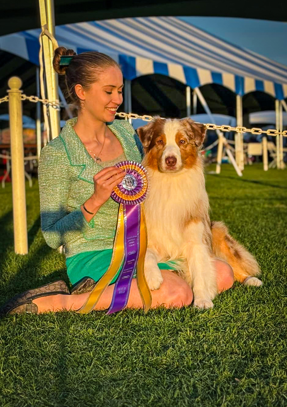 Palm To Pines Australian Shepherd Club #1 – Friday, January 3, 2025 ...